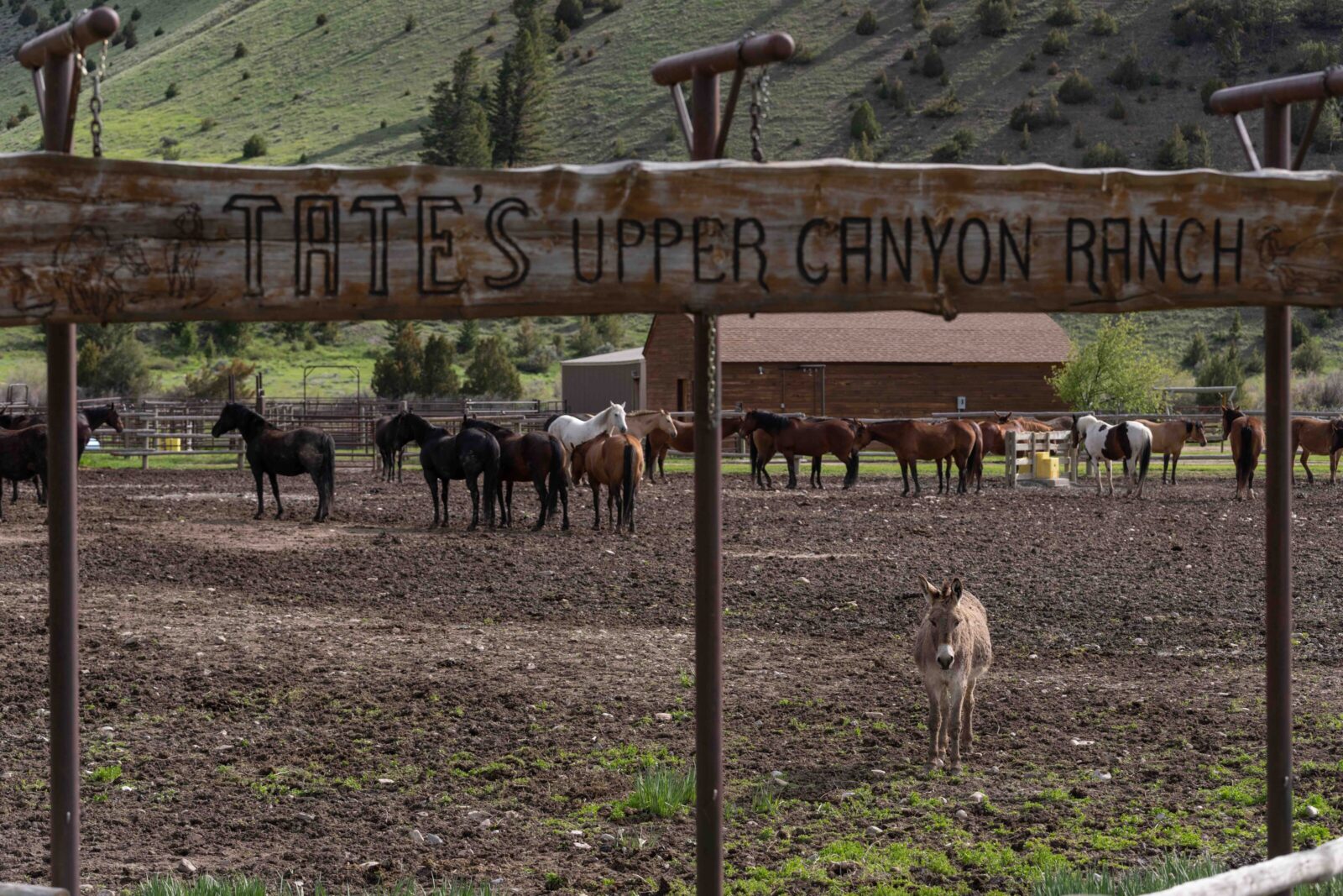 Blog - toughstump.com