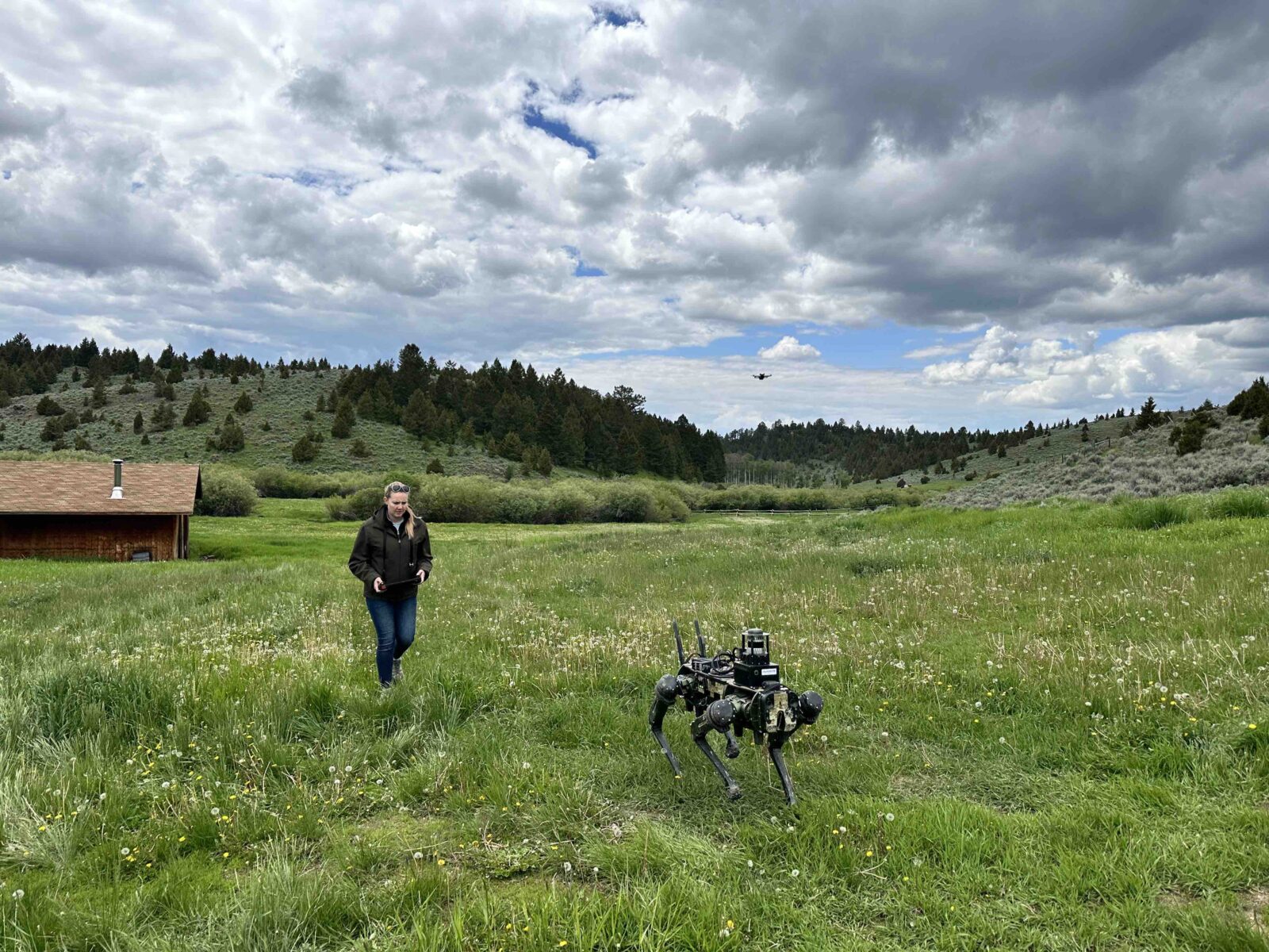 The Annual Tough Stump Rodeo - toughstump.com
