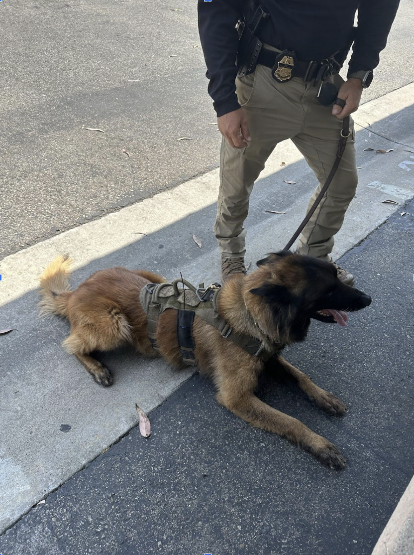 2025 rodeo Archives - toughstump.com