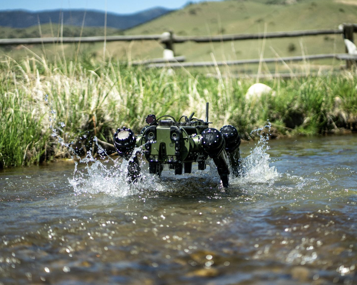 Unleashing the Tough Stump Rodeo 2025 - toughstump.com